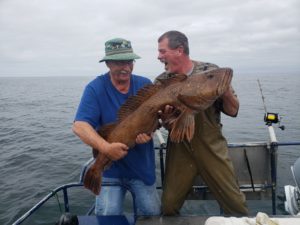 Ling Cod – Deep Spring Charters